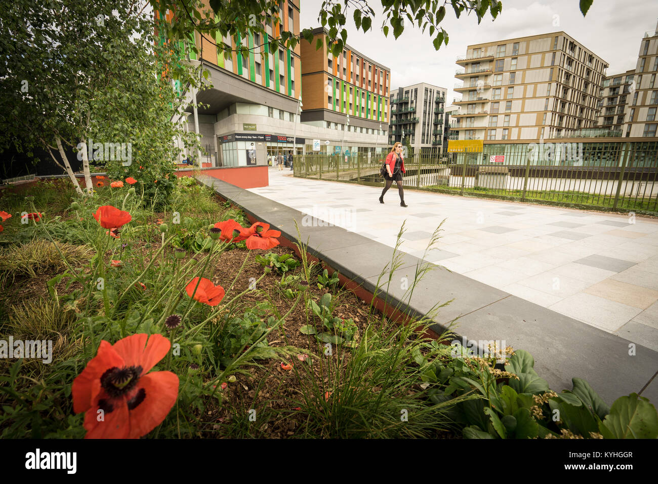 Hale Village is an urban village with sustainability and community at ...