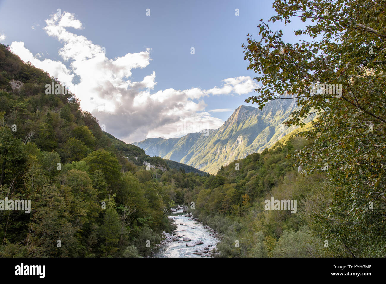 Natural beauty of the Isonzo river Stock Photo - Alamy