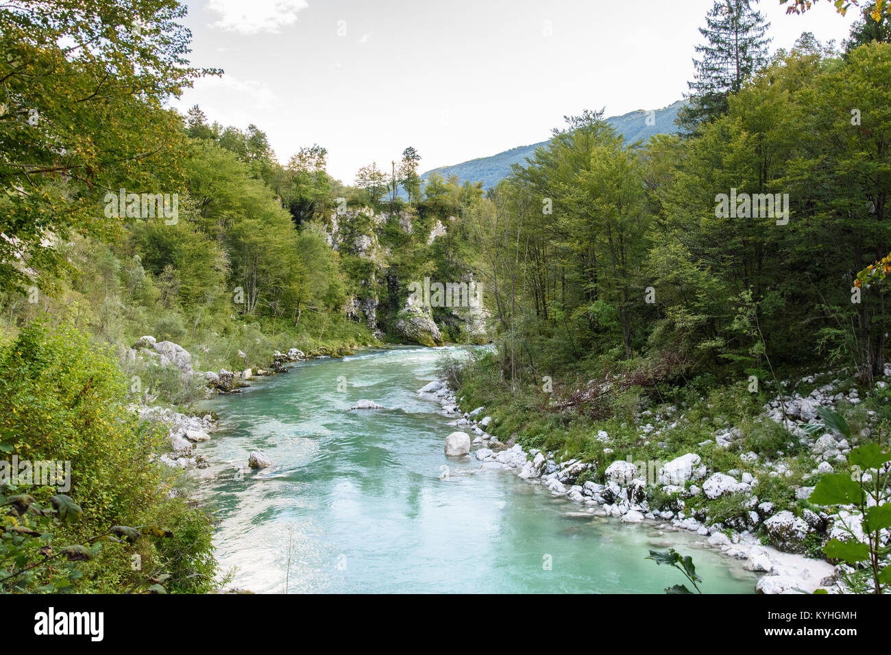 Natural beauty of the Isonzo river Stock Photo - Alamy