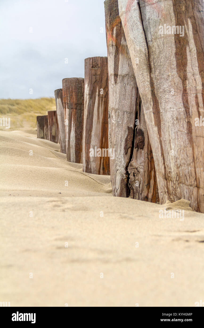 sandy beach detail showing a groyne and dune overgrown with grass in a ...