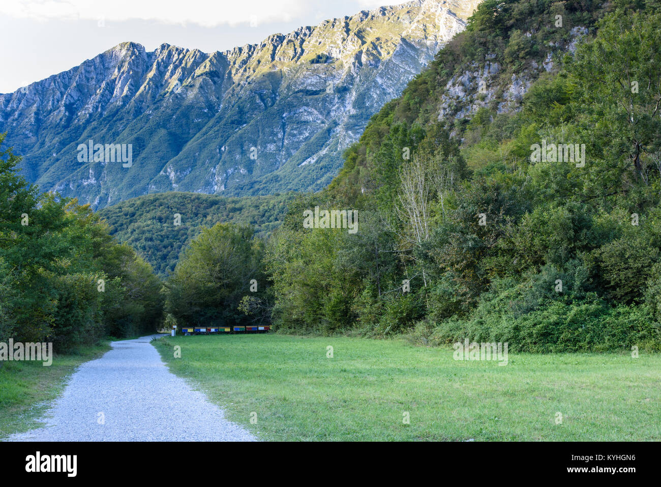 Natural beauty of the Isonzo river Stock Photo - Alamy