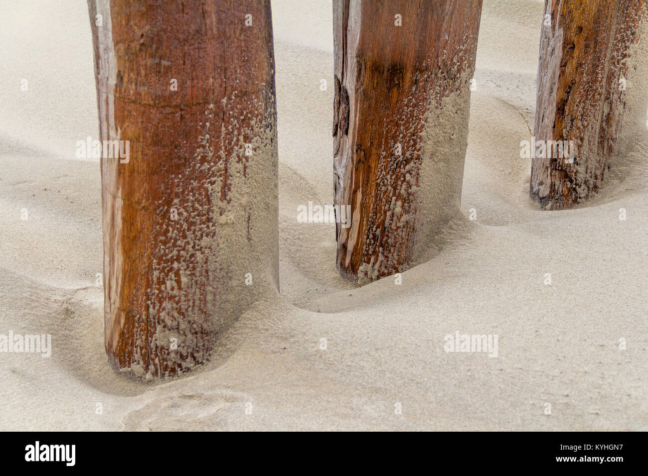 Timber Groin High Resolution Stock Photography and Images - Alamy