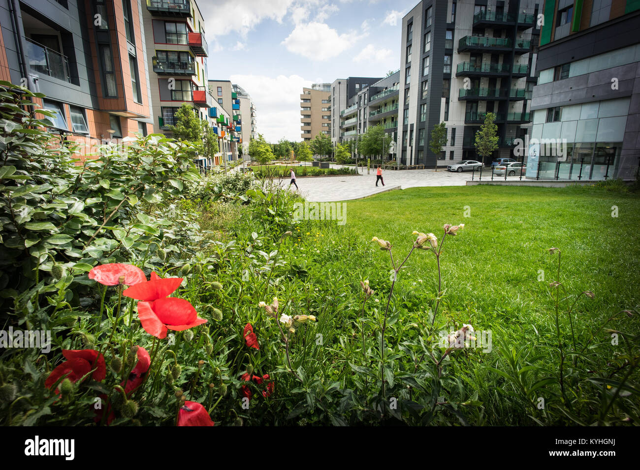 Hale Village is an urban village with sustainability and community at ...
