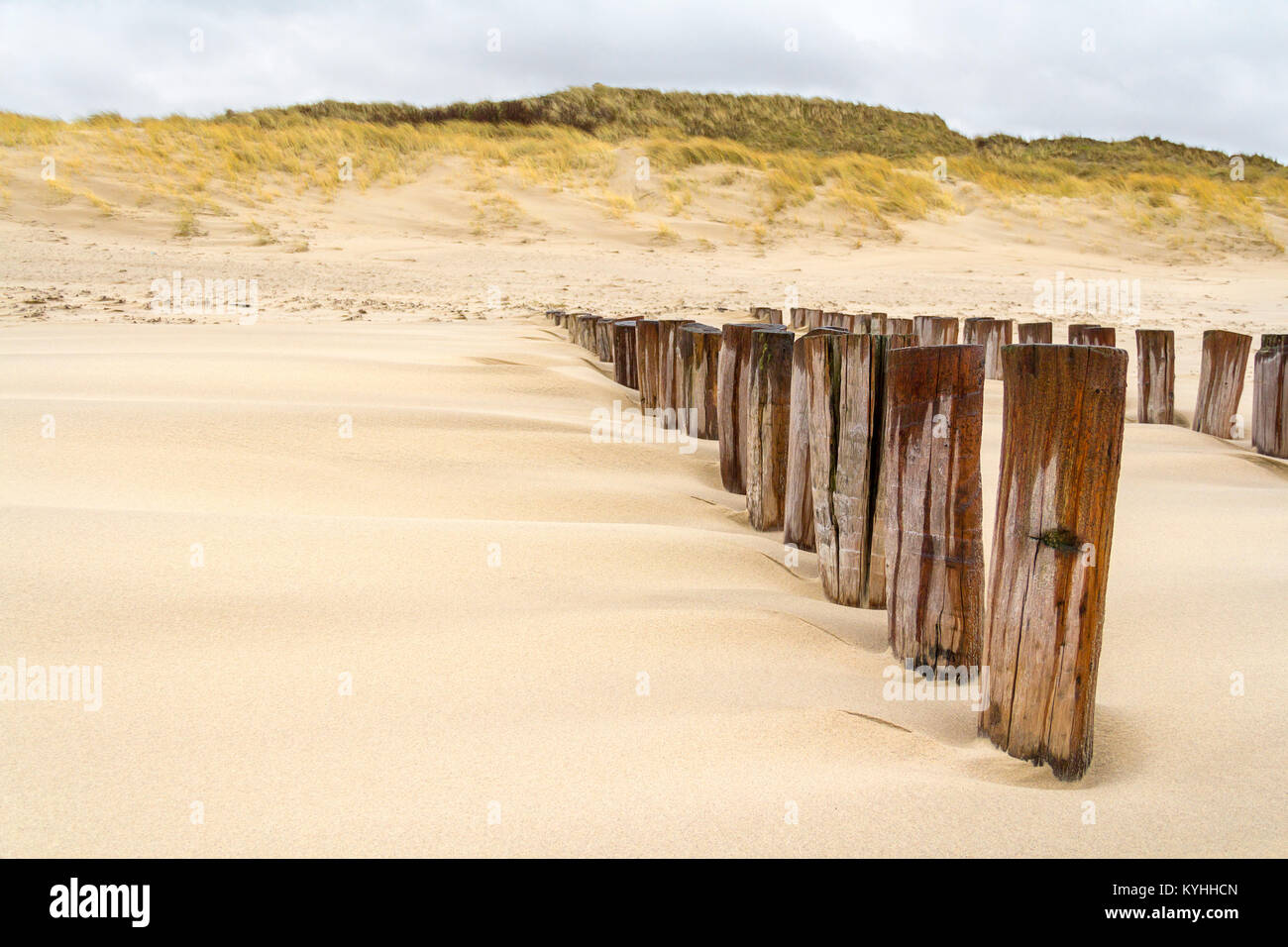 coastal beach scenery at the North Sea near Domburg in Walcheren in the ...