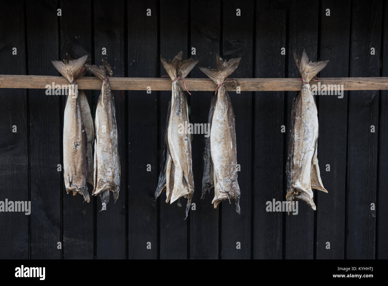 Fish main hi-res stock photography and images - Alamy