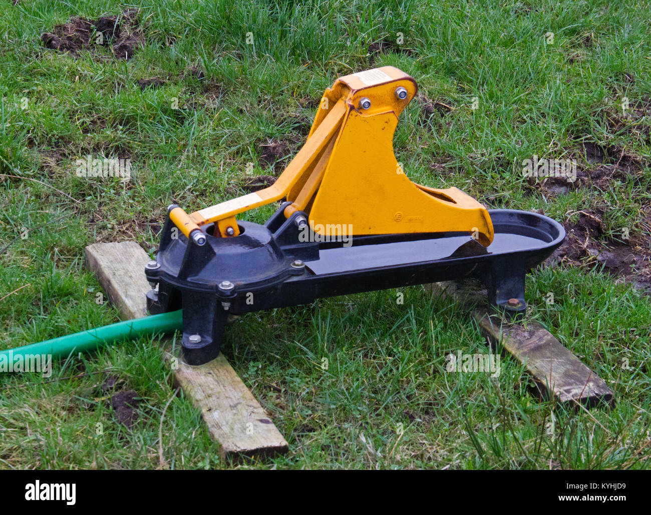 Livestock nose pump Stock Photo - Alamy