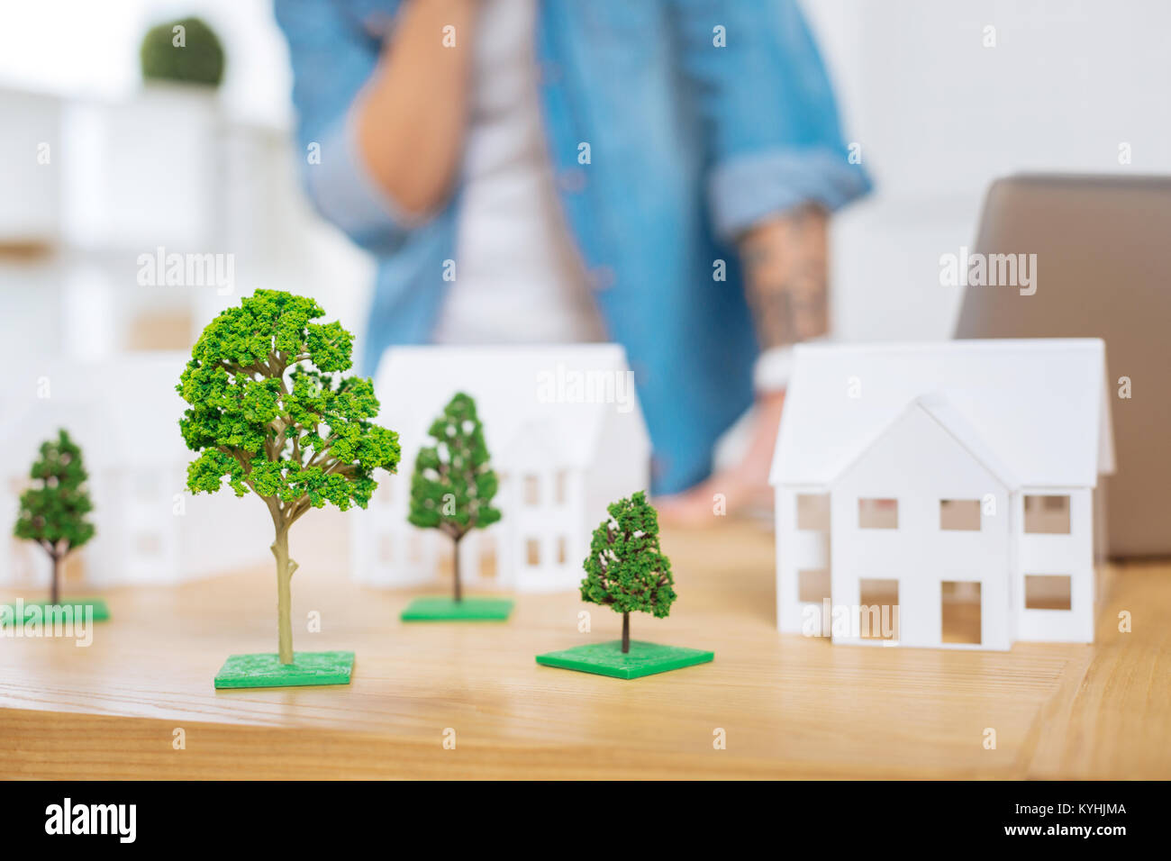 Beautiful miniatures of trees looking realistic while standing on the ...