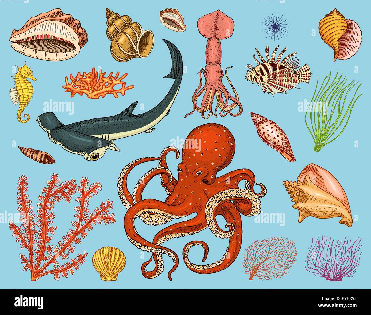 Fishes sea turtle in aquarium Stock Vector Images - Alamy