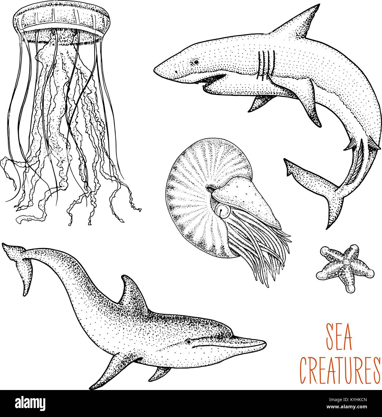 Fishes sea turtle in aquarium Stock Vector Images - Alamy