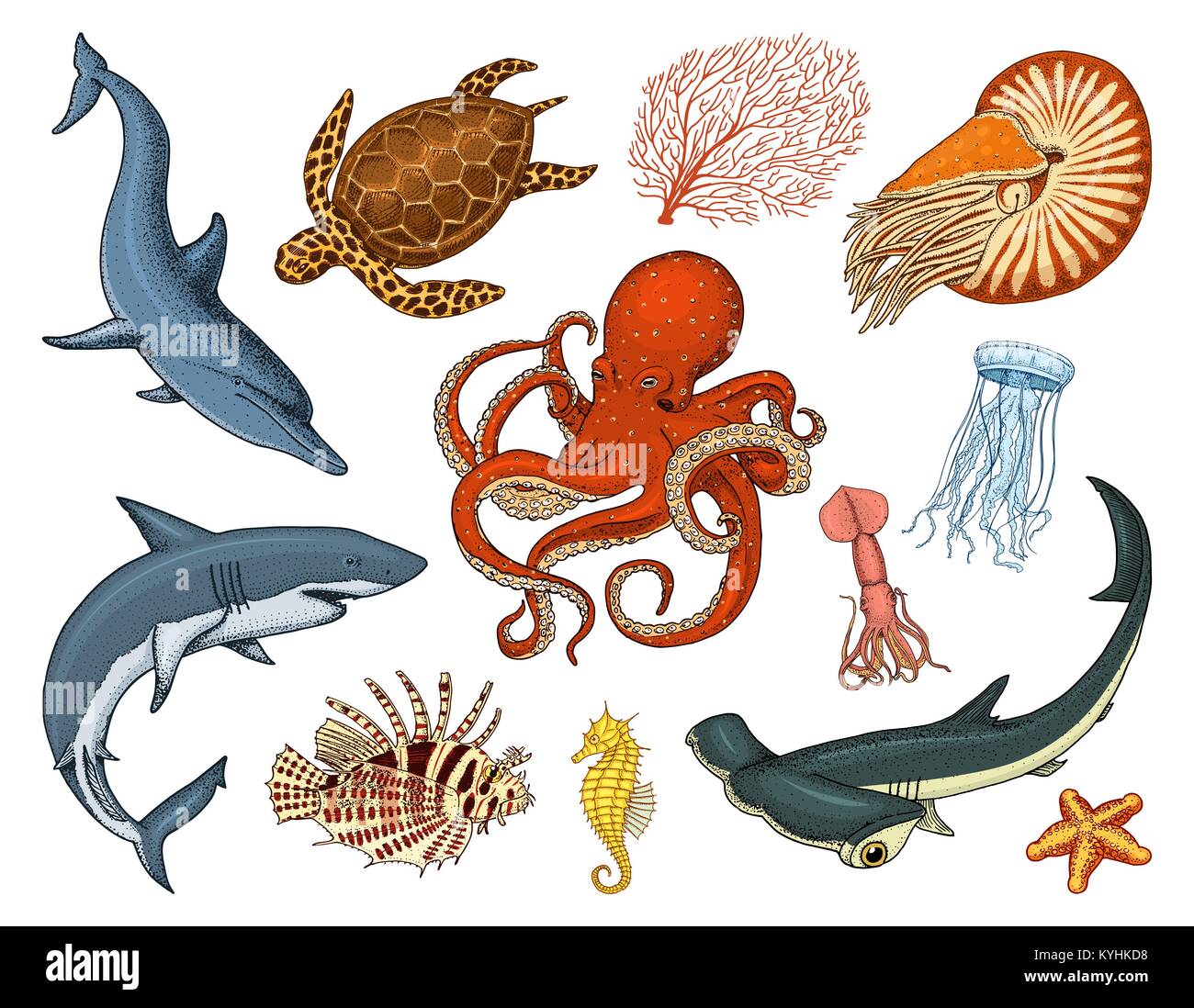 Fishes sea turtle in aquarium Stock Vector Images - Alamy