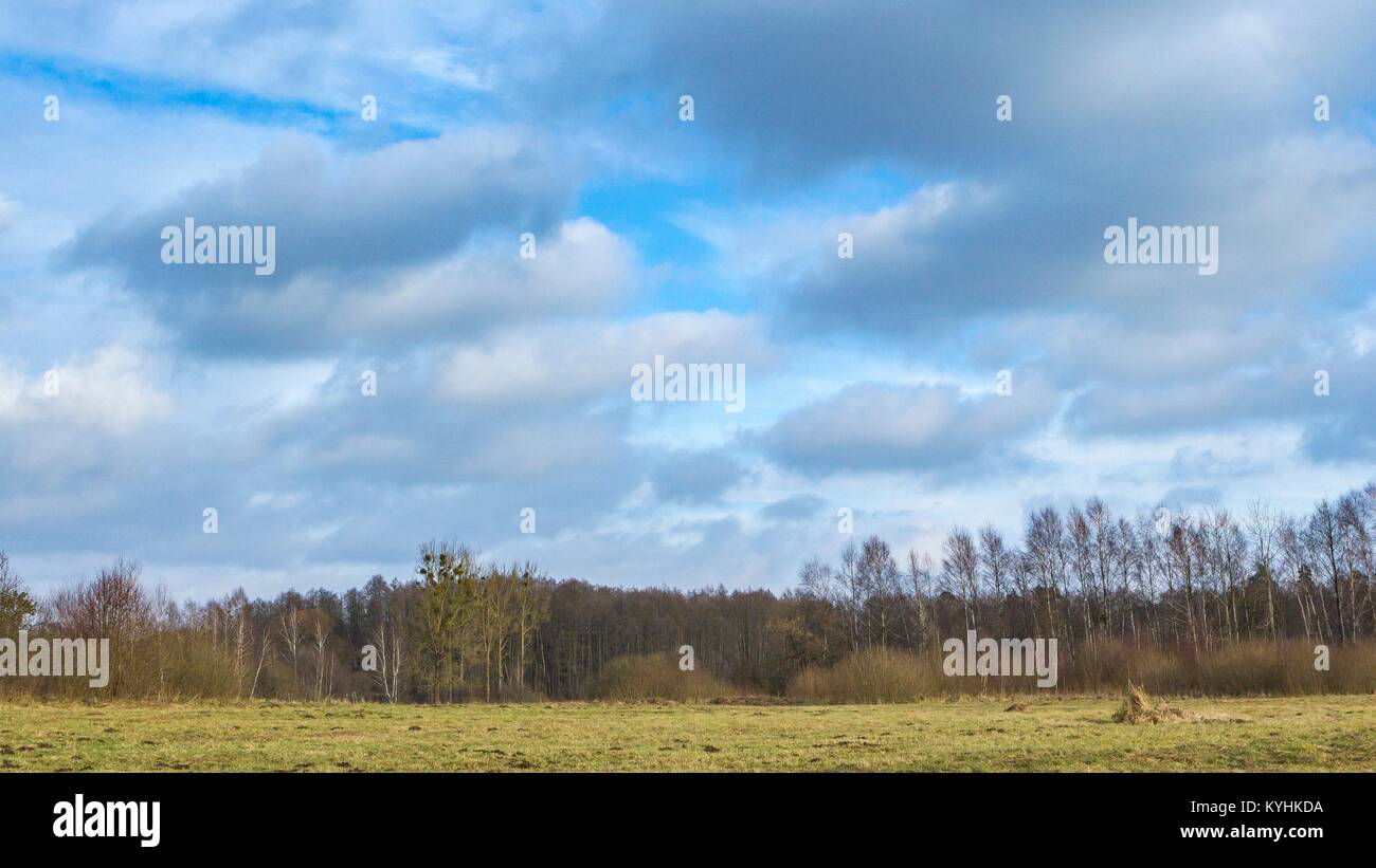 Meadow landscape under blue sky with clouds. Polish countryside Stock ...