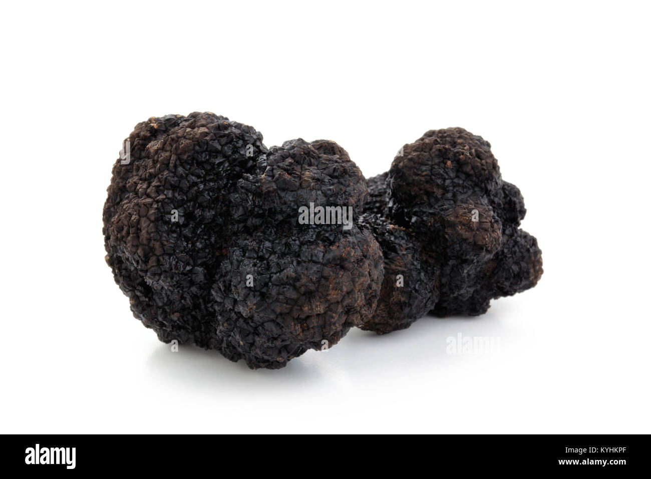 Truffle fungus slice closeup hi-res stock photography and images - Alamy