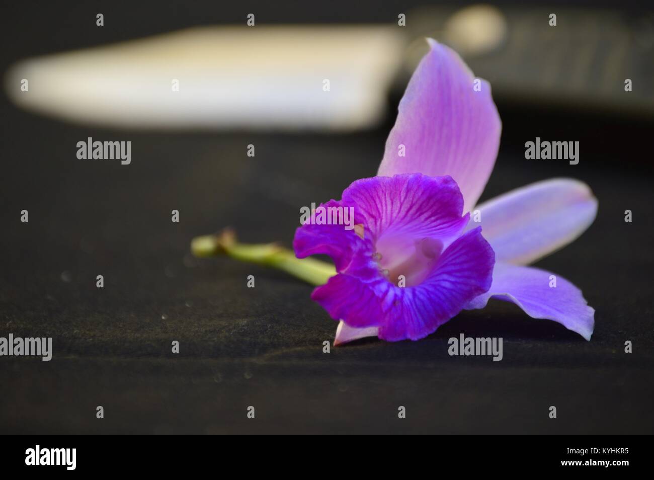 Gender murders hi-res stock photography and images - Alamy