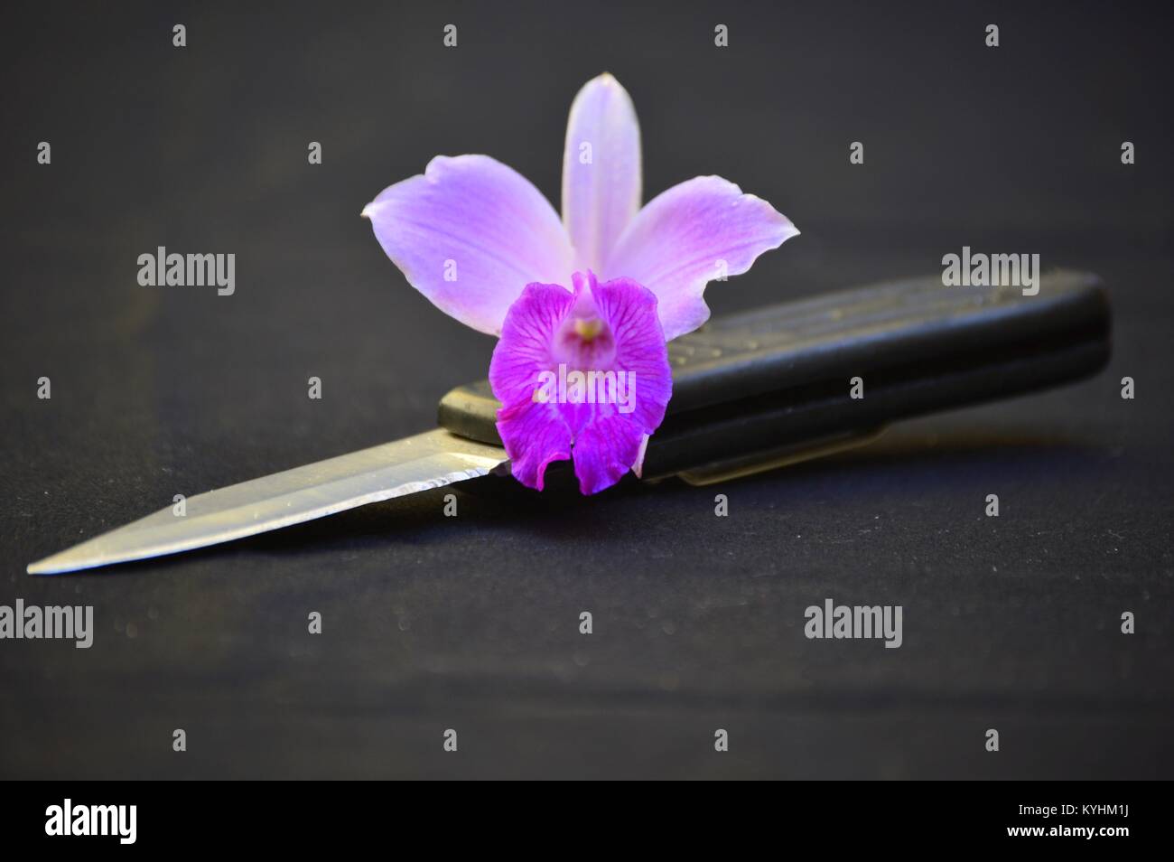Gender murders hi-res stock photography and images - Alamy