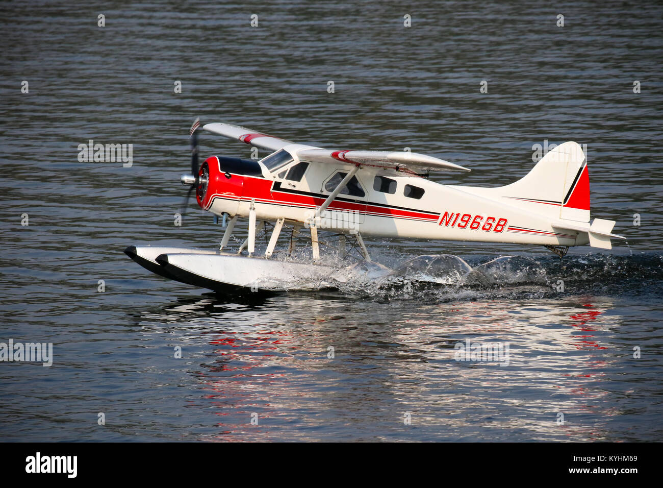 Radio controlled beaver hi-res stock photography and images - Alamy