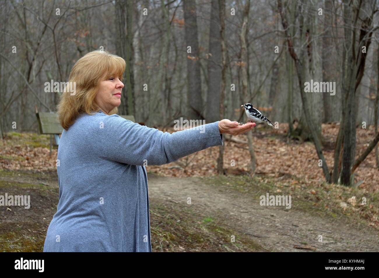 Woman birding hi-res stock photography and images - Alamy