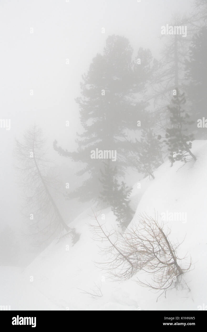 Stormy winter mountain weather snow hi-res stock photography and images ...