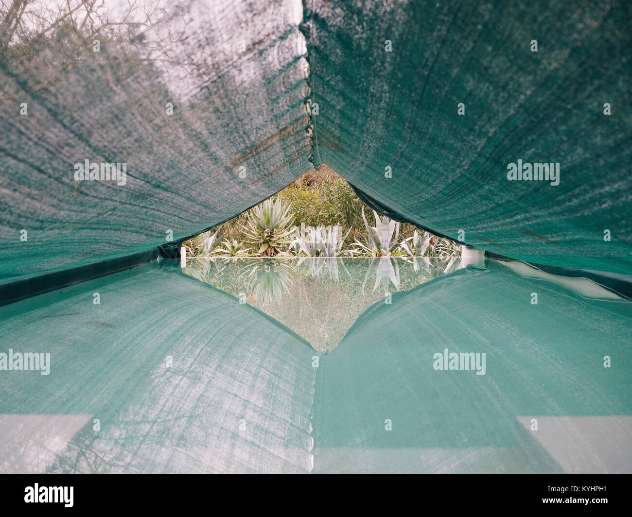 Swimming pool reflections hi-res stock photography and images - Alamy
