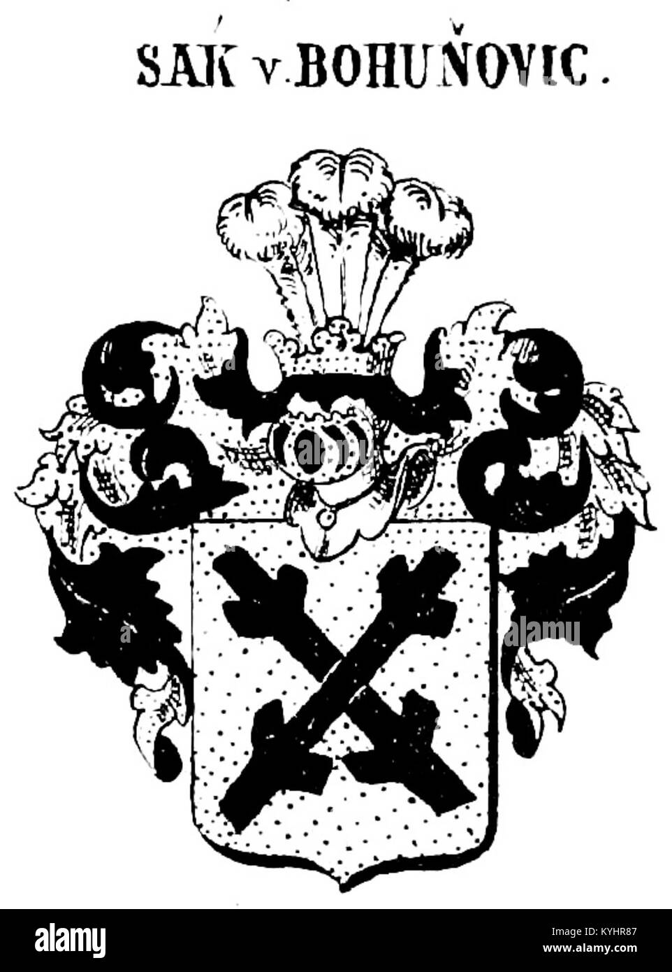 This is a depiction from the book 'Neuer Siebmacher,' showing the 'Sack ...
