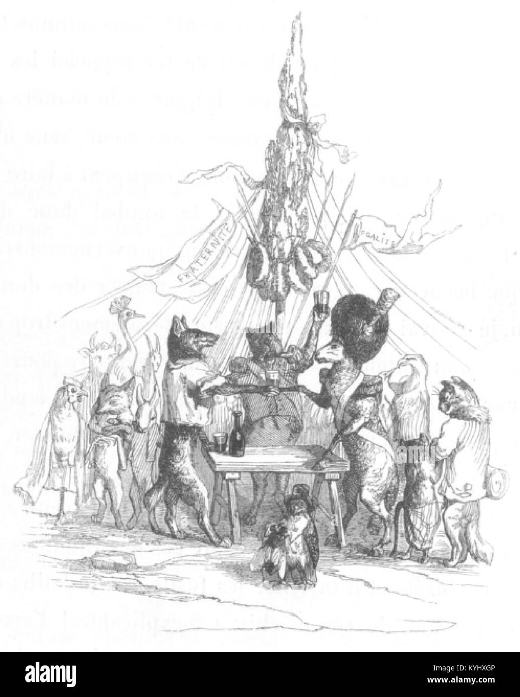 Zoological study animals in Cut Out Stock Images & Pictures - Alamy