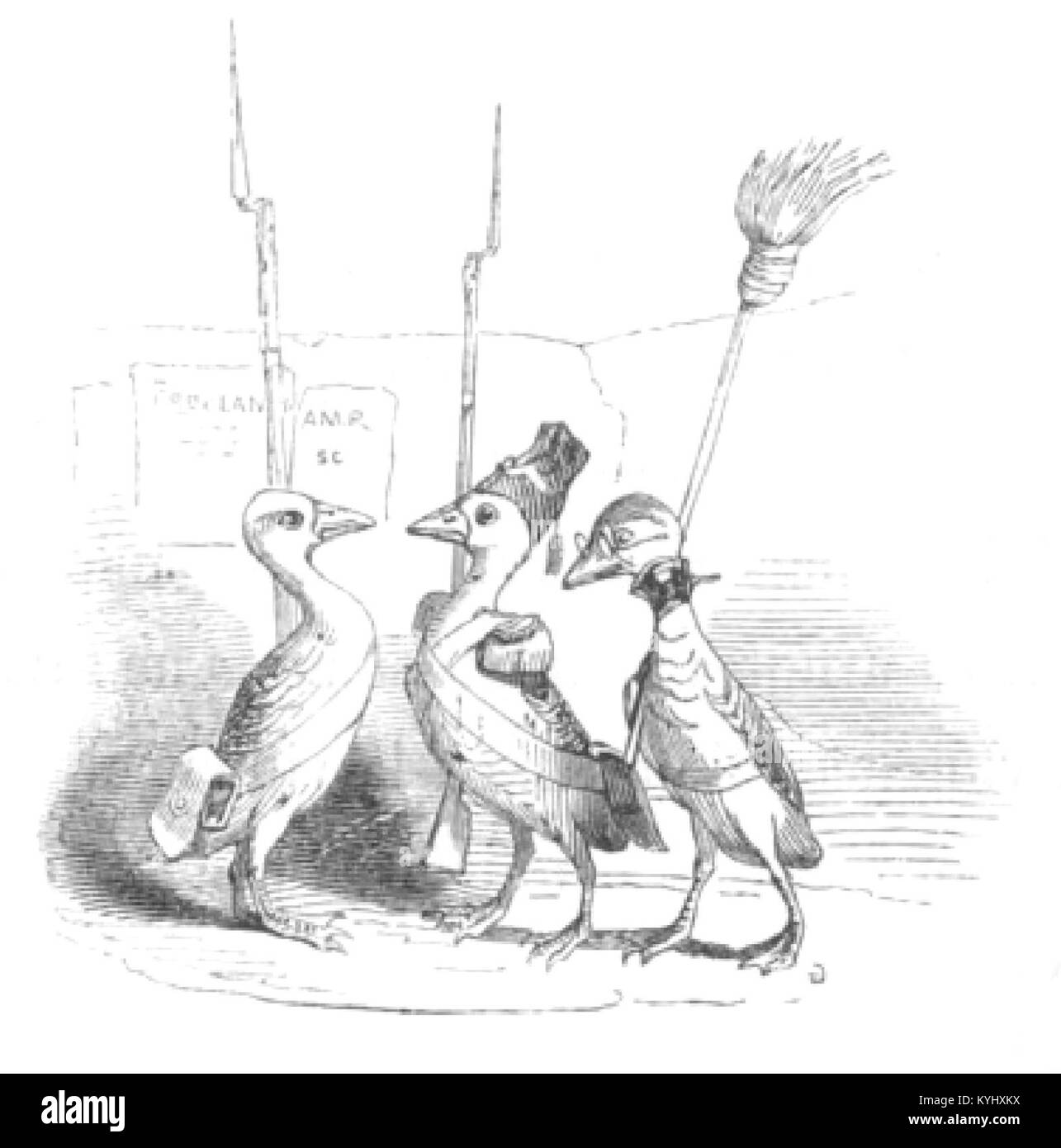 Animal habitat management Cut Out Stock Images & Pictures - Alamy