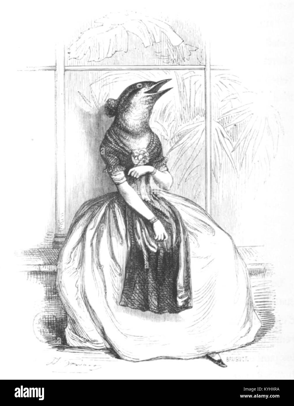 Variety of animals art Cut Out Stock Images & Pictures - Alamy