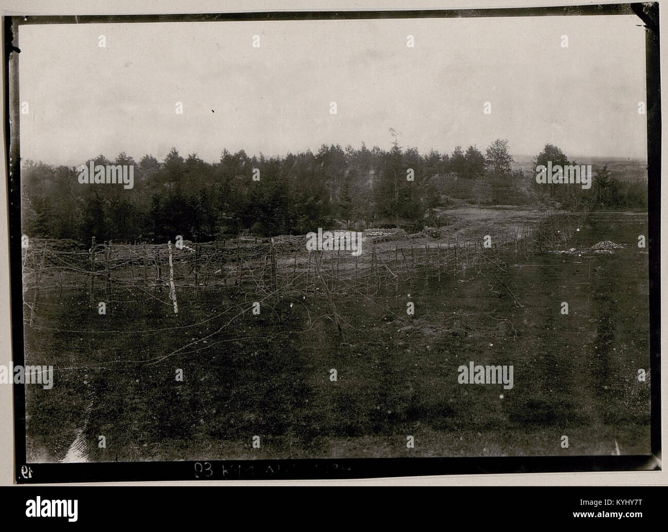 Barbed wire used in trench hi-res stock photography and images - Alamy