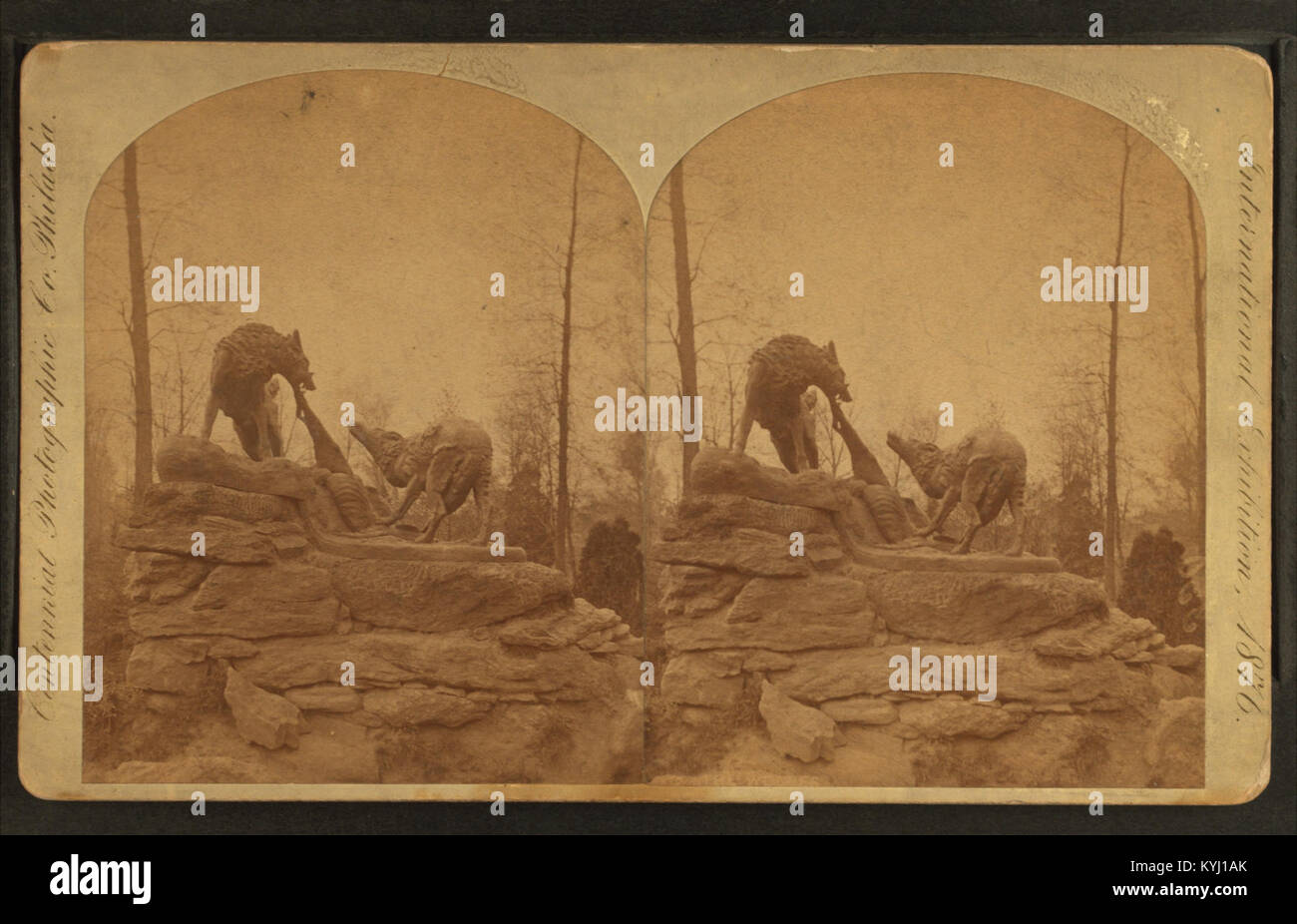 Sculpture 'The Wolves.', by Centennial Photographic Co. 2 Stock Photo ...