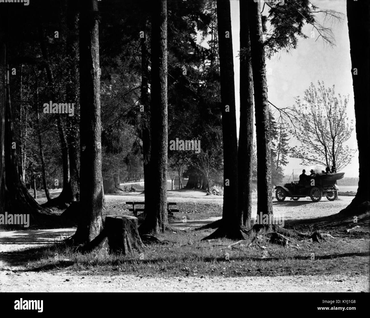 Stanley Park Second Beach High Resolution Stock Photography and Images ...