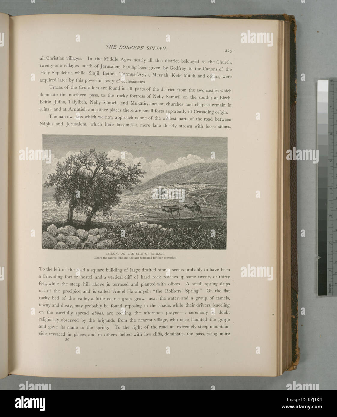 Sacred ark book cover hi-res stock photography and images - Alamy