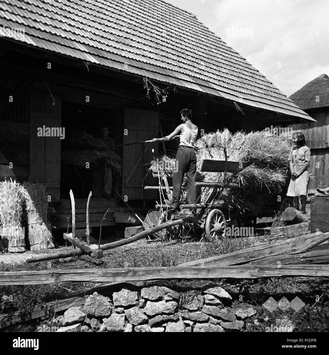 Agricultural machine harvesting grain in Black and White Stock Photos ...