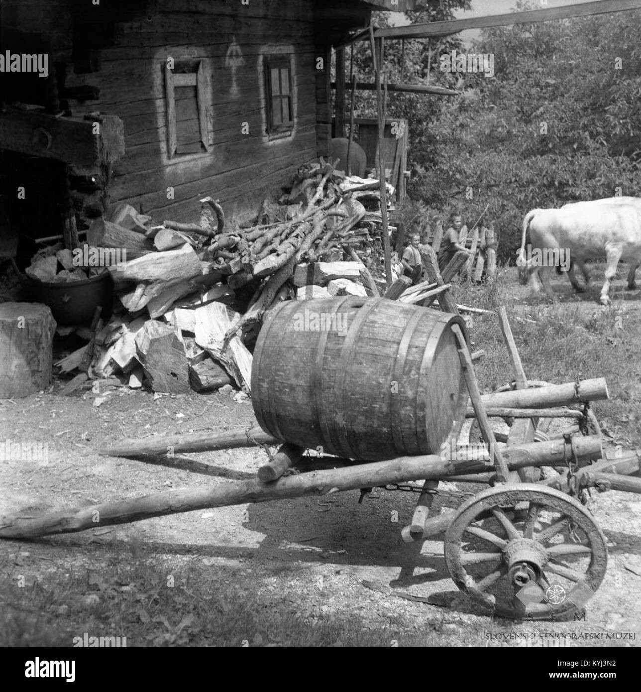 A photograph from 1963 shows sod placed on a wagon near Žnidar in ...