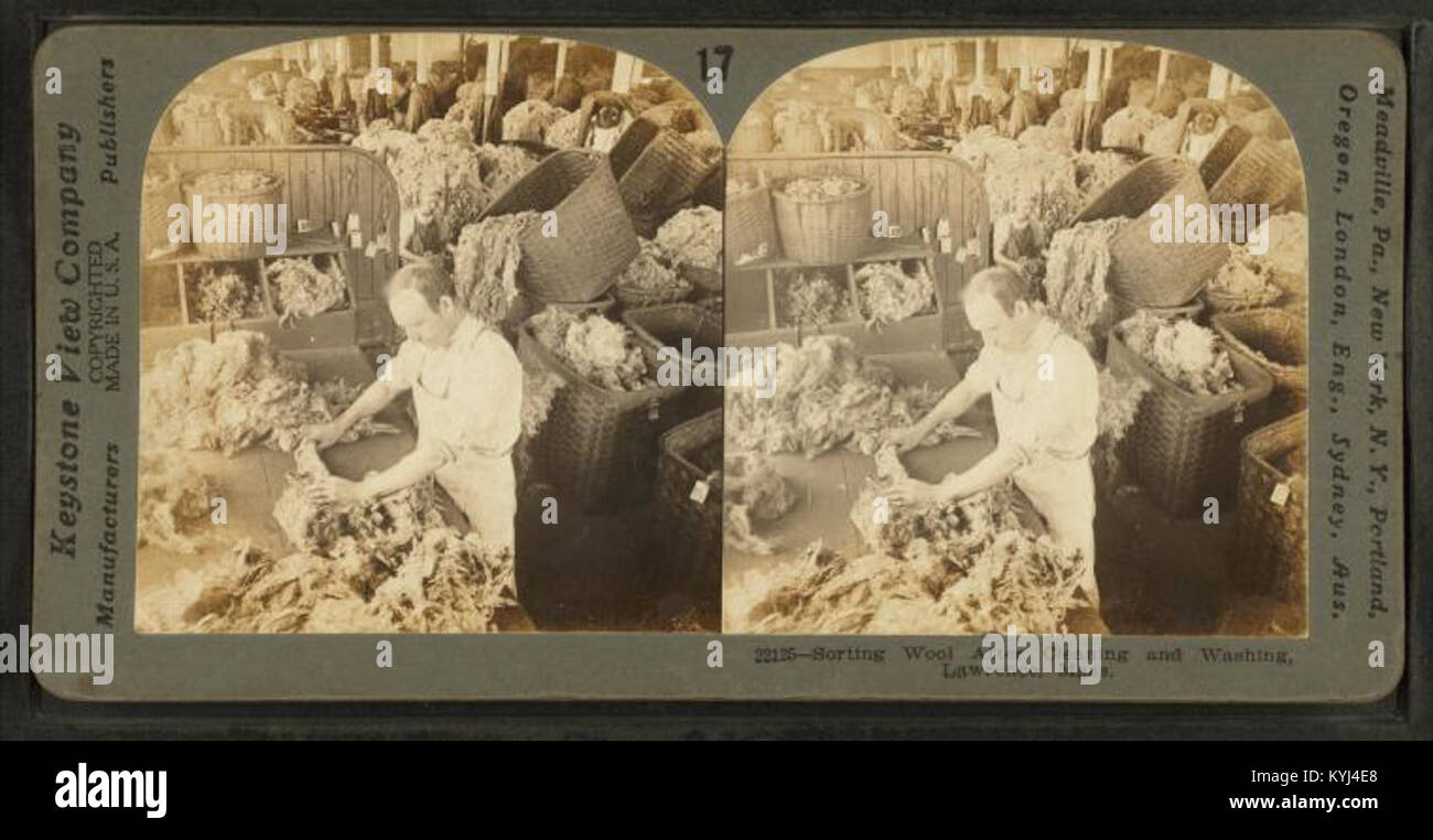 Sorting wool hi-res stock photography and images - Alamy