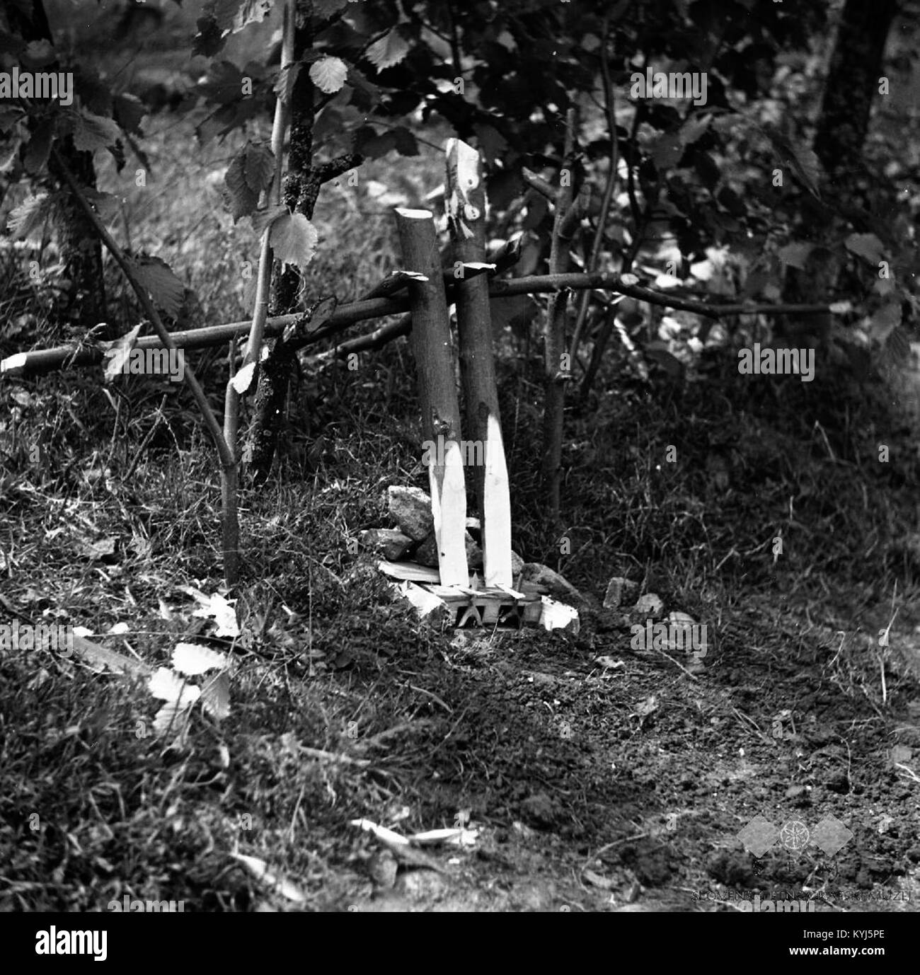 Double spring trap hi-res stock photography and images - Alamy