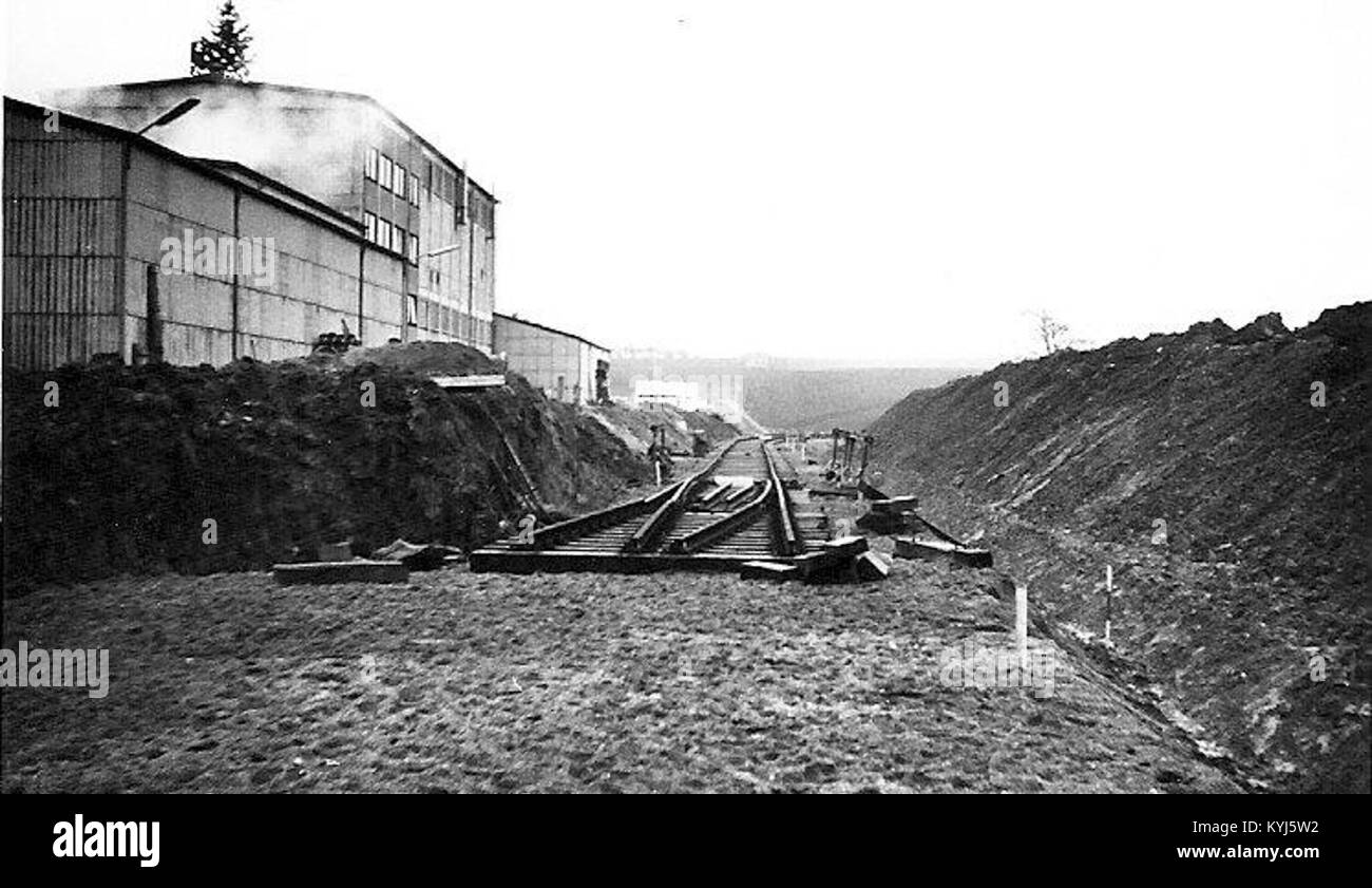 This photograph depicts the industrial process at a cellulose factory ...