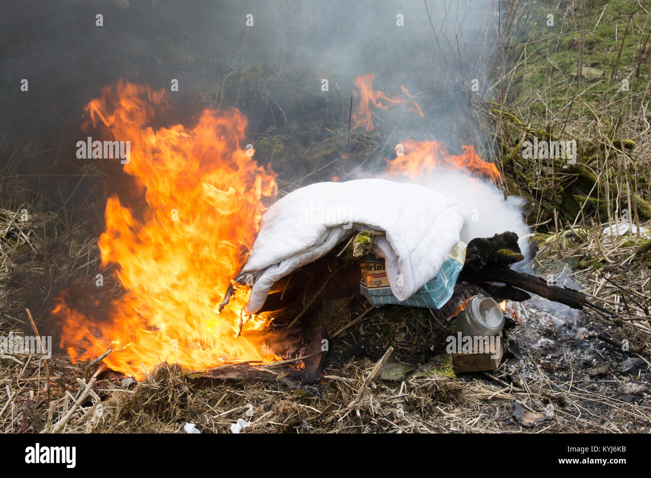 Posionious hi-res stock photography and images - Alamy