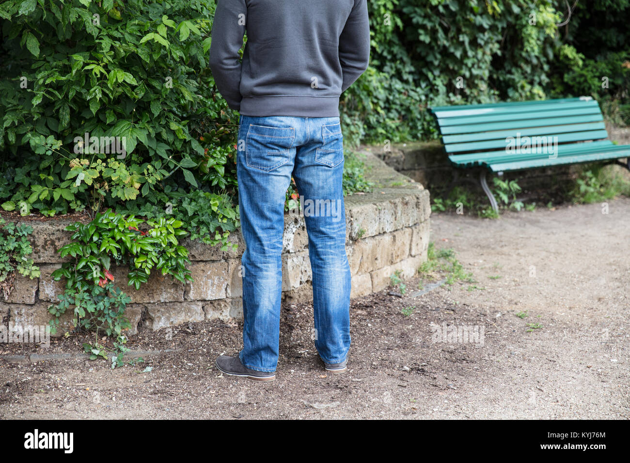 Rear View Of A Man Peeing In Park Stock Photo - Alamy