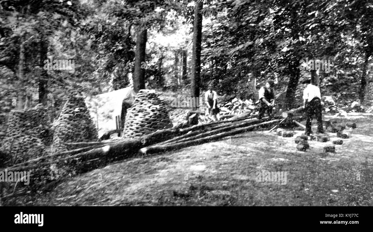 British cloggers (clog base cutters) at work in Arncliffe Woods, near ...