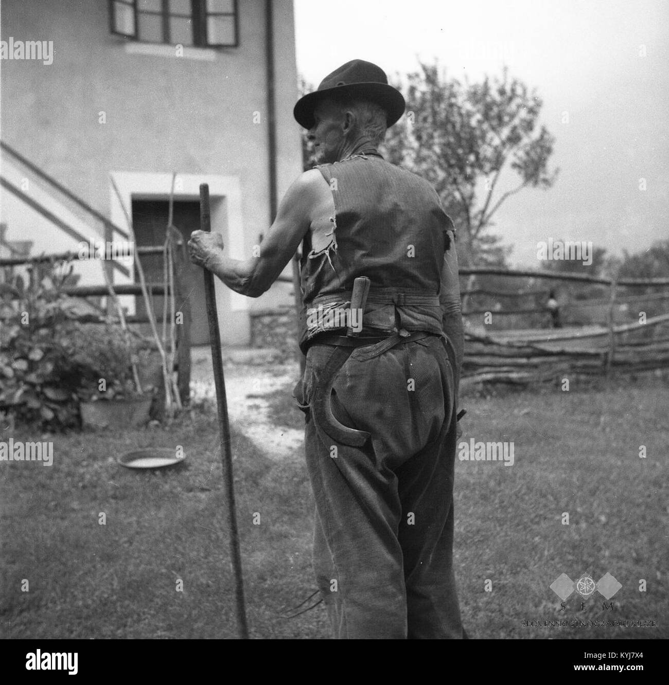 The photograph depicts an old Fulc from Soča, a region in Slovenia ...