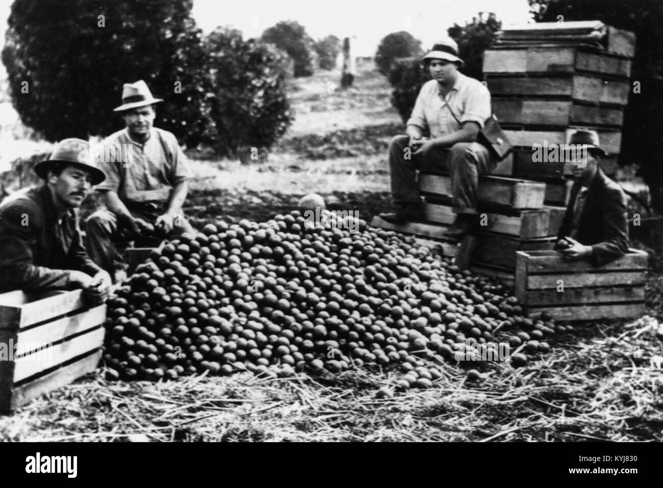 A 1923 photograph of the Curtis brothers in Mount Tamborine, Queensland ...