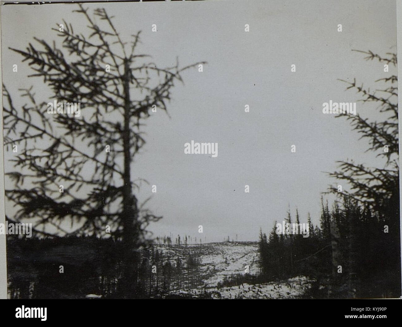 A historical photograph depicting the position of the 3rd Border ...