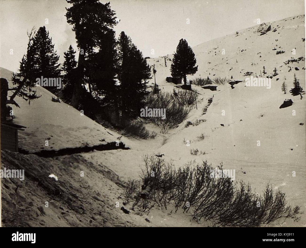 A historical photograph showing the positioning of a howitzer battery ...