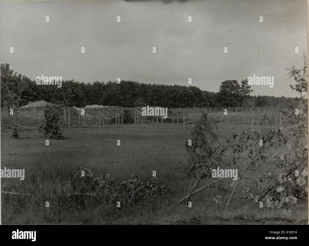 Battlefield formation hi-res stock photography and images - Alamy