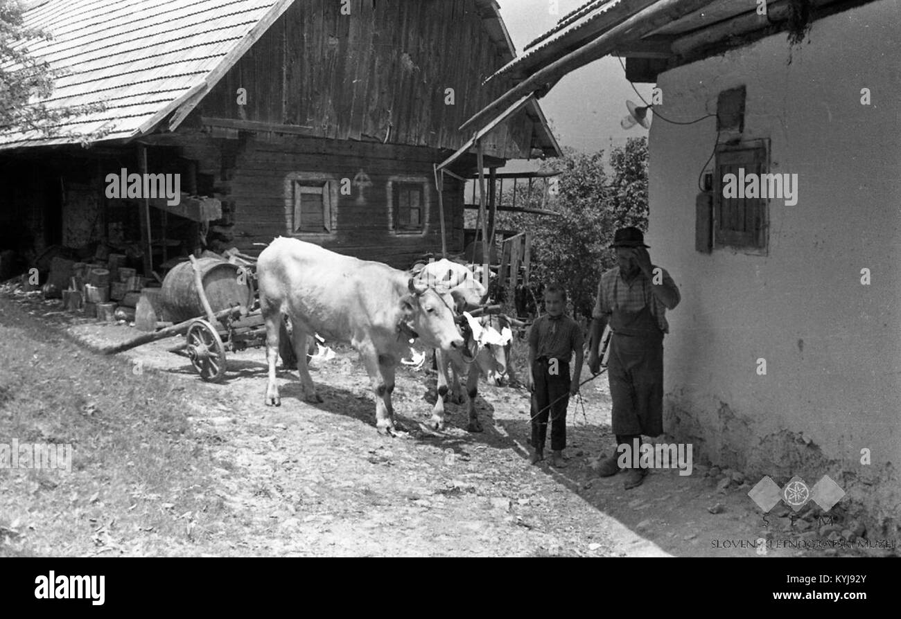 Znidar hi-res stock photography and images - Alamy