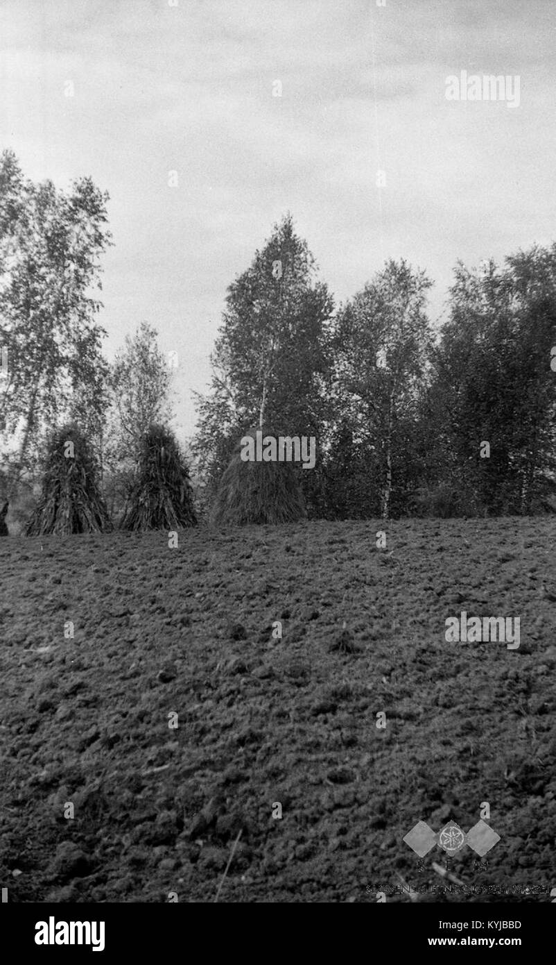 Stog hi-res stock photography and images - Alamy