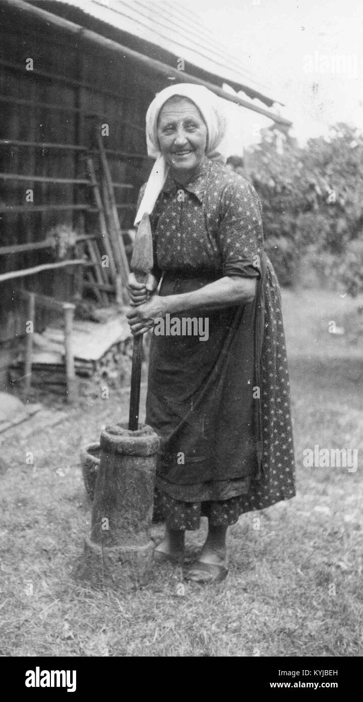 Photograph from 1951 depicting a woman threshing hemp in a barrel using ...