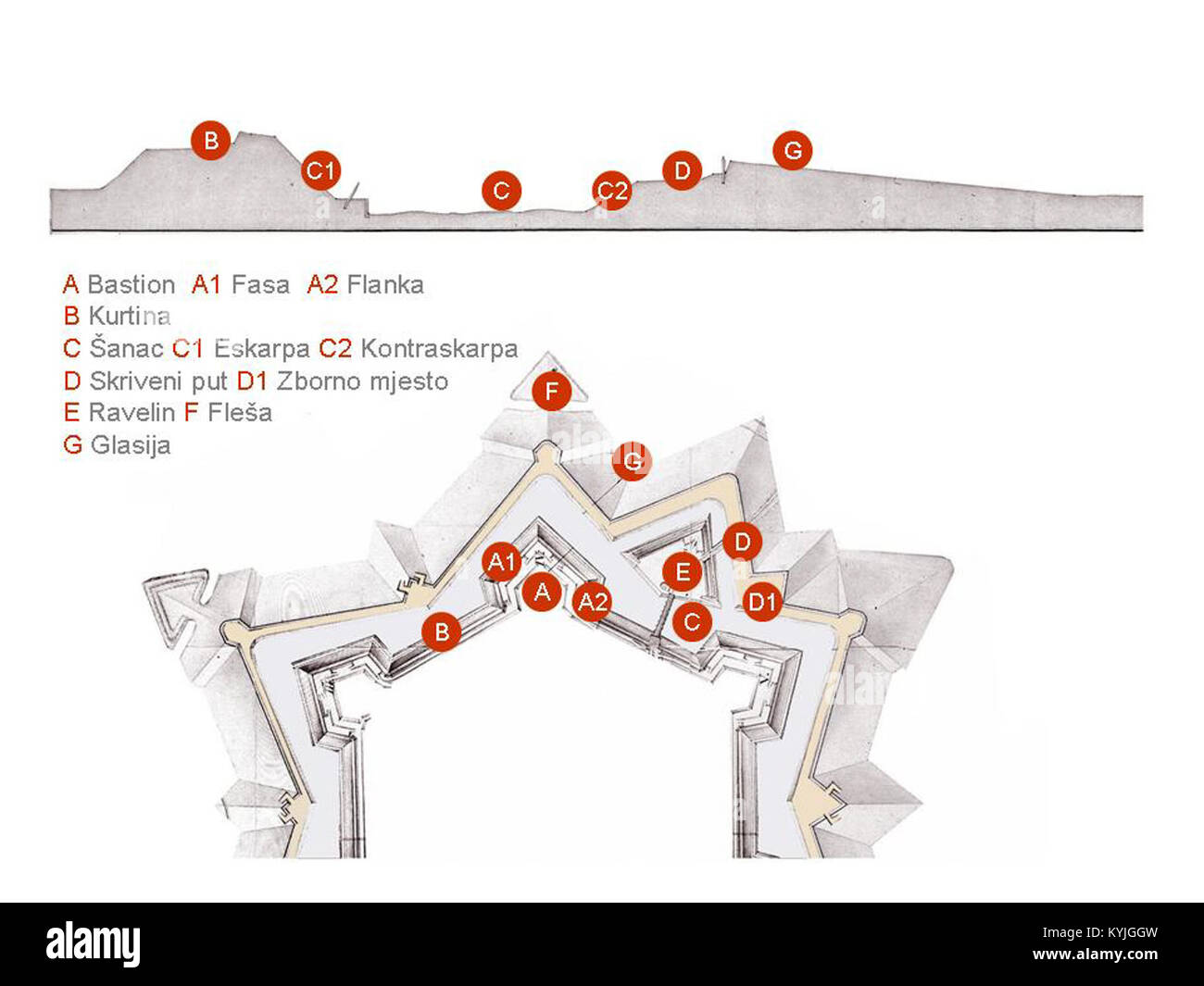 This text explores the terminology of fortification construction ...