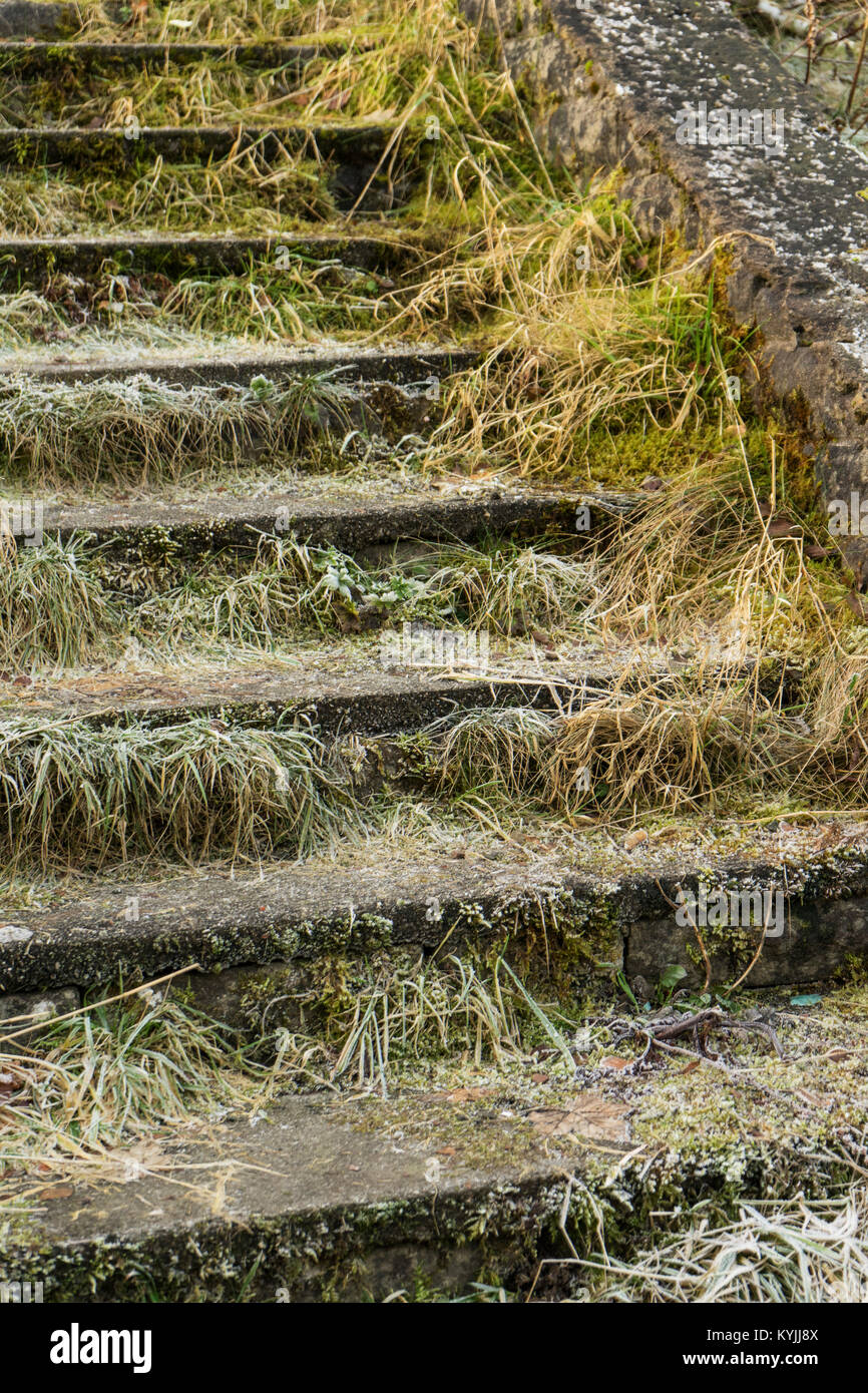 Grass stairs hi-res stock photography and images - Alamy