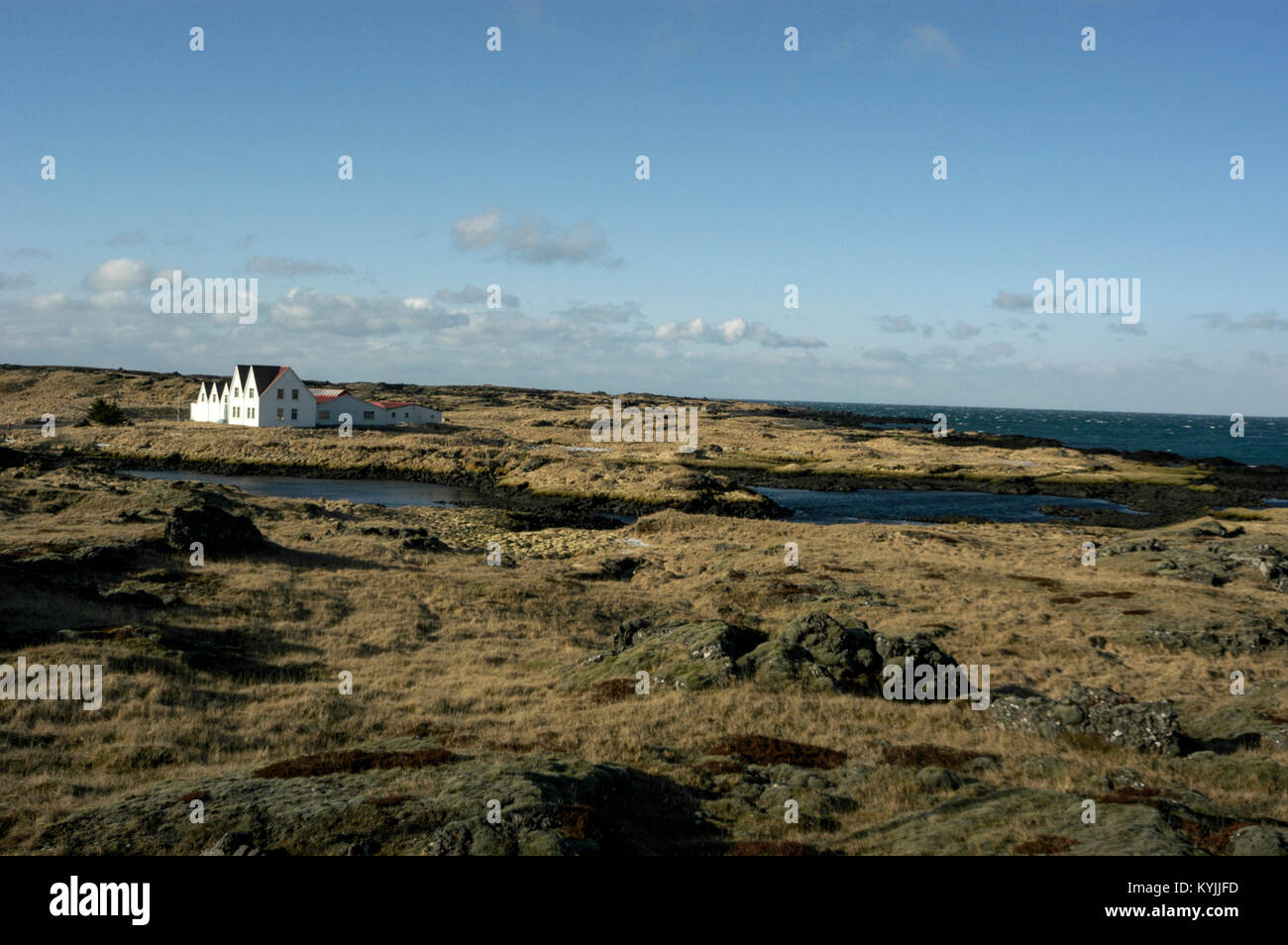 An Icelandic residential house and outbuildings on the black lava rocks ...