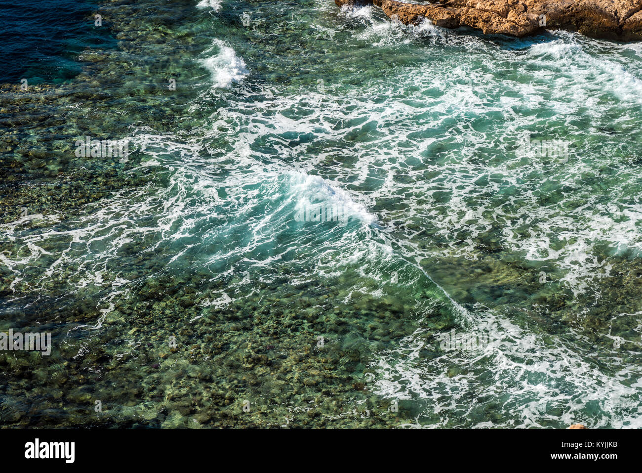 Coral closeup view hi-res stock photography and images - Alamy
